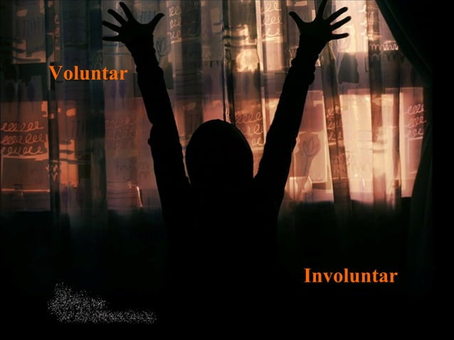 Vointa Adriana | PPT