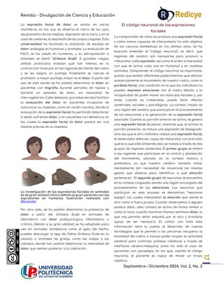 La expresión facial, un reflejo de las emociones | PDF