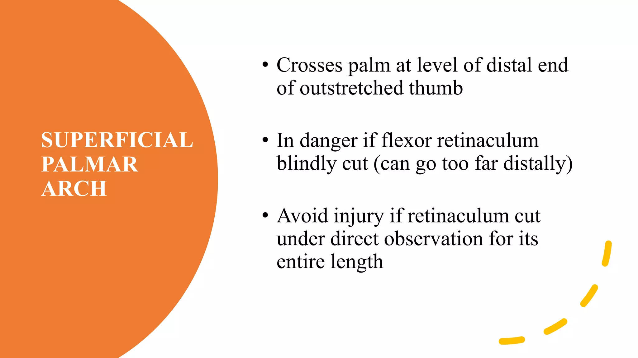 VOLAR APPROACH TO WRIST.pptx