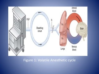 Volatile Anesthesia- Basic.pptx