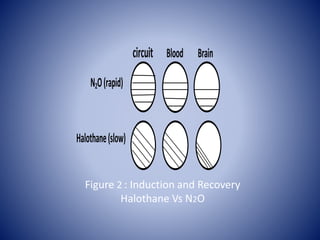 Volatile Anesthesia- Basic.pptx