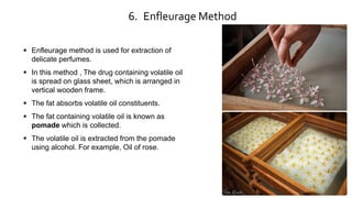 Chepter 4, part- 9 Volatile Oil .CLASSIFICATION OF VOLATILE OILpptx | PPTX