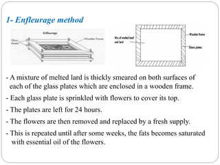 Volatile oil extraction | PPTX
