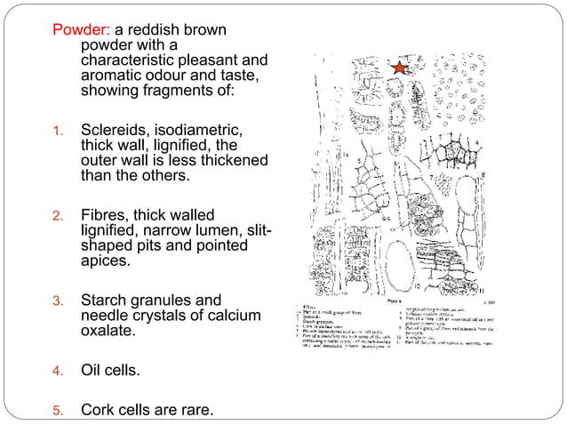Volatile oil extraction | PPTX
