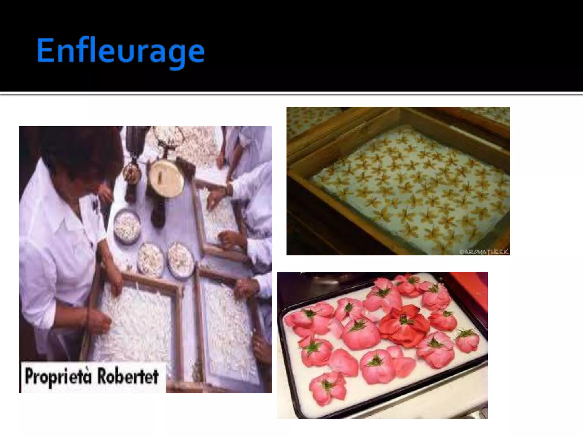 Volatile Oils | PPTX