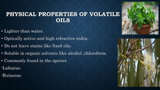 Volatile oils | PPTX