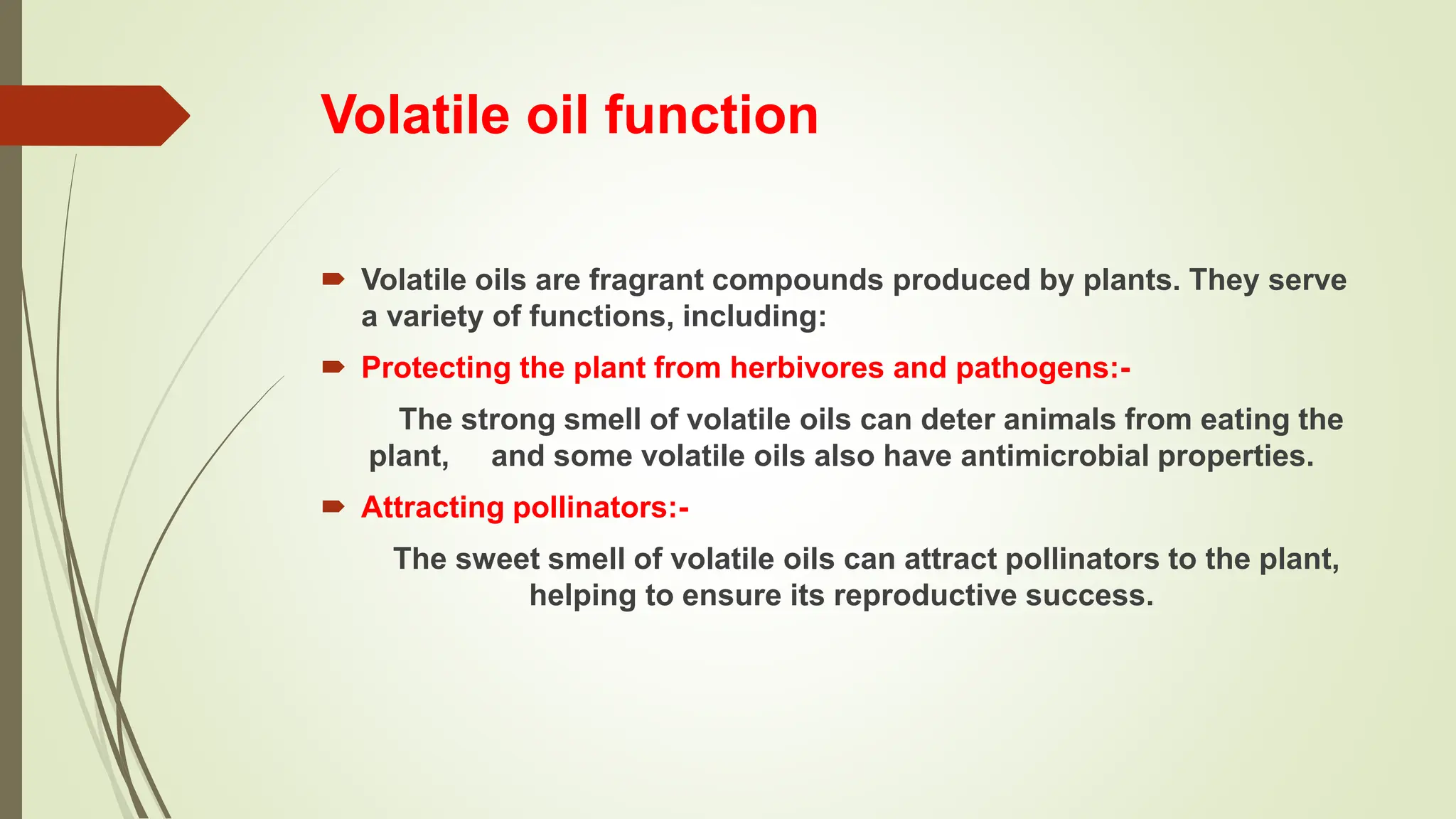 Volatile Oils 2004-1.pptx