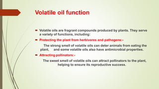 Volatile Oils 2004-1.pptx