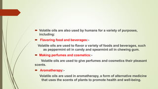 Volatile Oils 2004-1.pptx