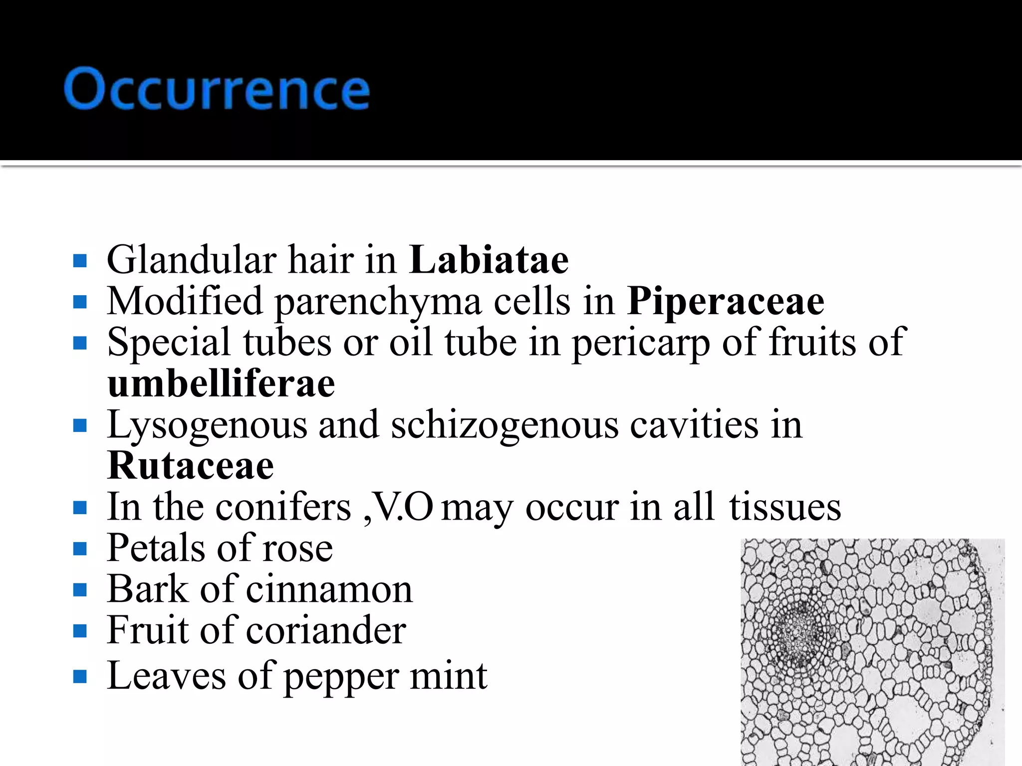 Volatile oils ppt | PPTX