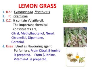 Volatile oils PPT - Dr. V. Kiran Kumar | PPT