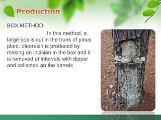 Volatile Oils PPT Students of Dr Shahid Rasool.pptx
