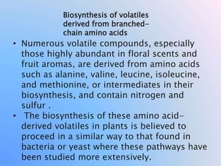 volatile organic compounds.pptx