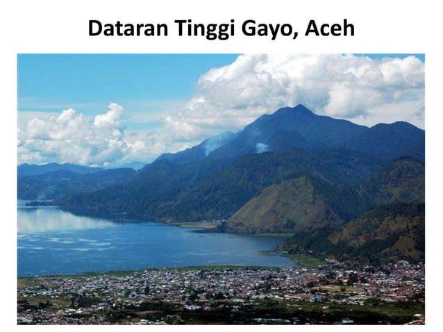 Gunung Berapi (Volcanoes) | PPTX