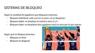 Técnica y táctica del deporte voleibol .pptx