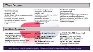 Volente Dx: Leaders in Rapid Molecular Pathology | PPT