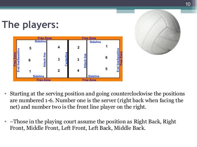 Volleyball 101: Volleyball Positions – VSZPG