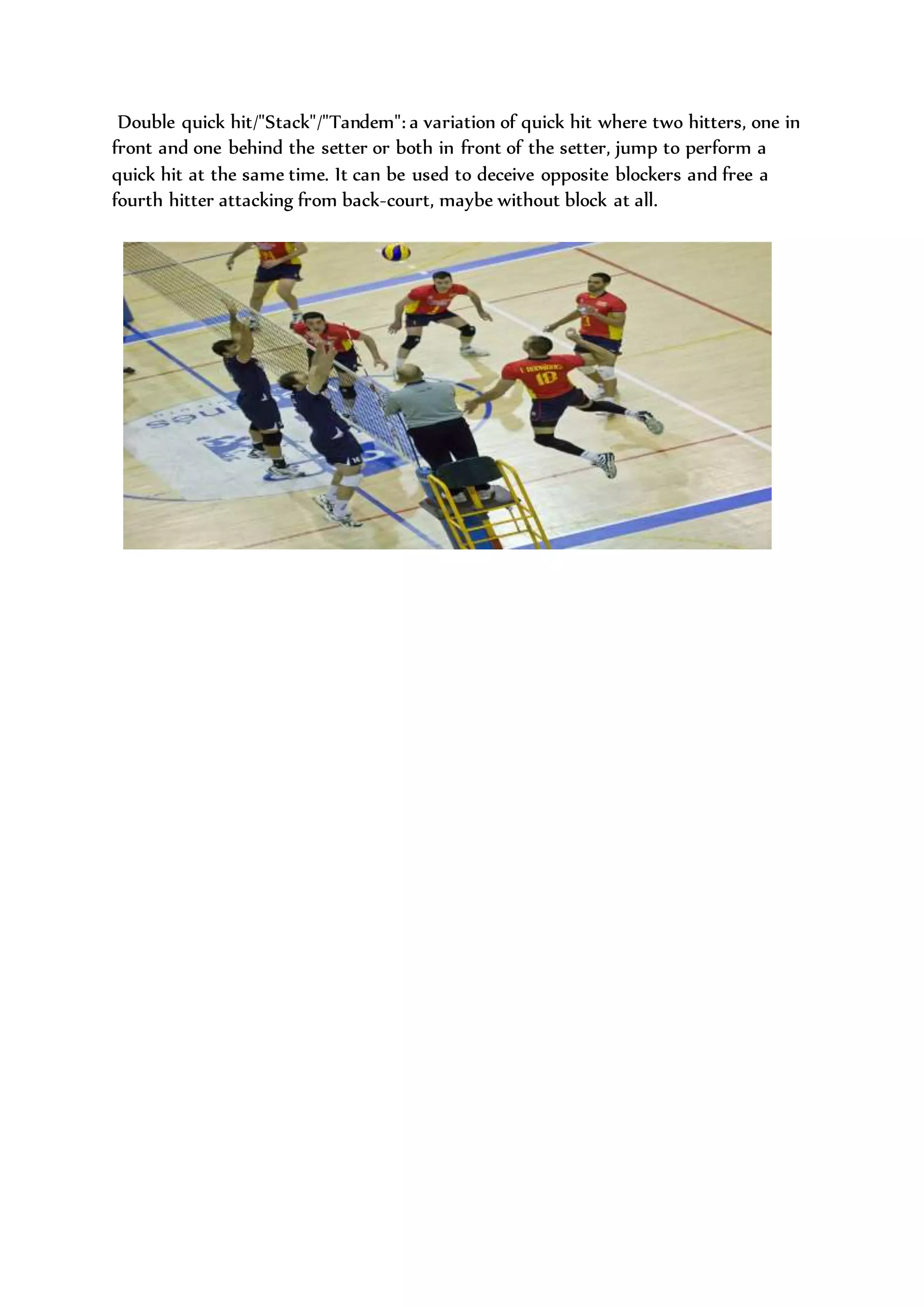 Phyical Education Project Class 12 CBSE on Volleyball | DOCX