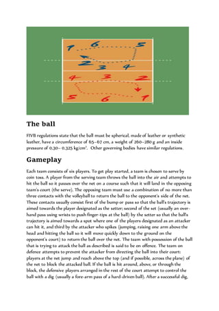 Phyical Education Project Class 12 CBSE on Volleyball | DOCX