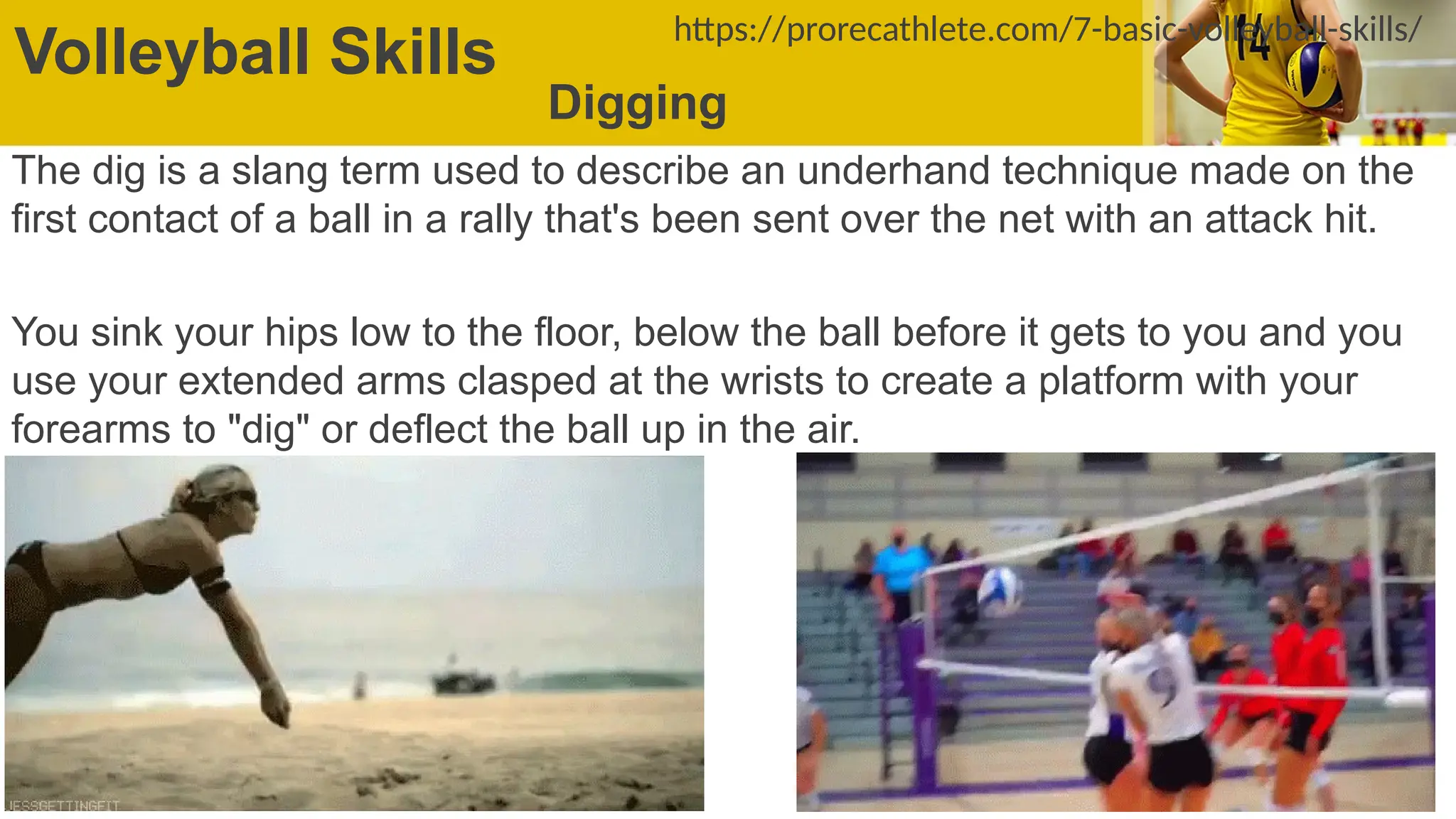 Volleyball Official Presentation in English | PPTX