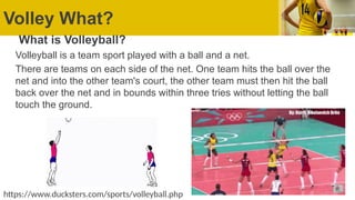 Volleyball Official Presentation in English | PPTX