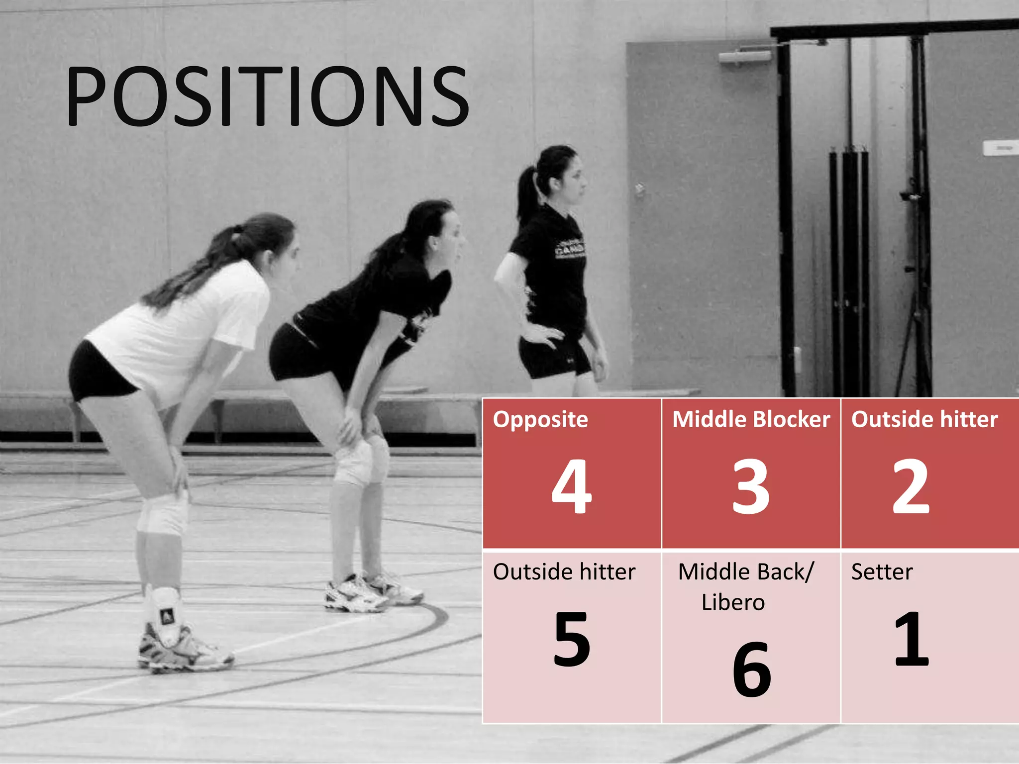 Volleyball power point | PPT