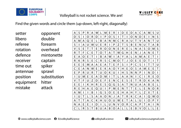 Volleyball vocabulary | PDF