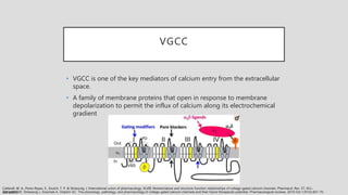 Voltage Gated Calcium Channels (VGCC) and Its Role in Neurological ...