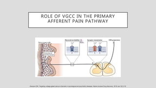 Voltage Gated Calcium Channels (VGCC) and Its Role in Neurological ...