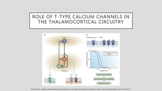 Voltage Gated Calcium Channels (VGCC) and Its Role in Neurological ...