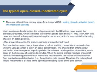 Voltage gated sodium channels | PDF