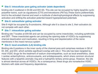 Voltage gated sodium channels | PDF