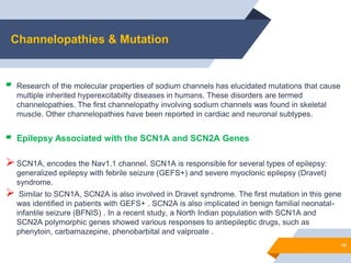 Voltage gated sodium channels | PDF