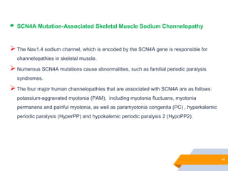 Voltage gated sodium channels | PDF
