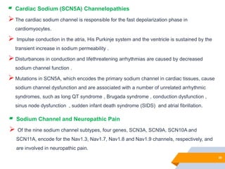 Voltage gated sodium channels | PDF