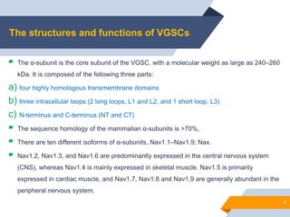 Voltage gated sodium channels | PDF