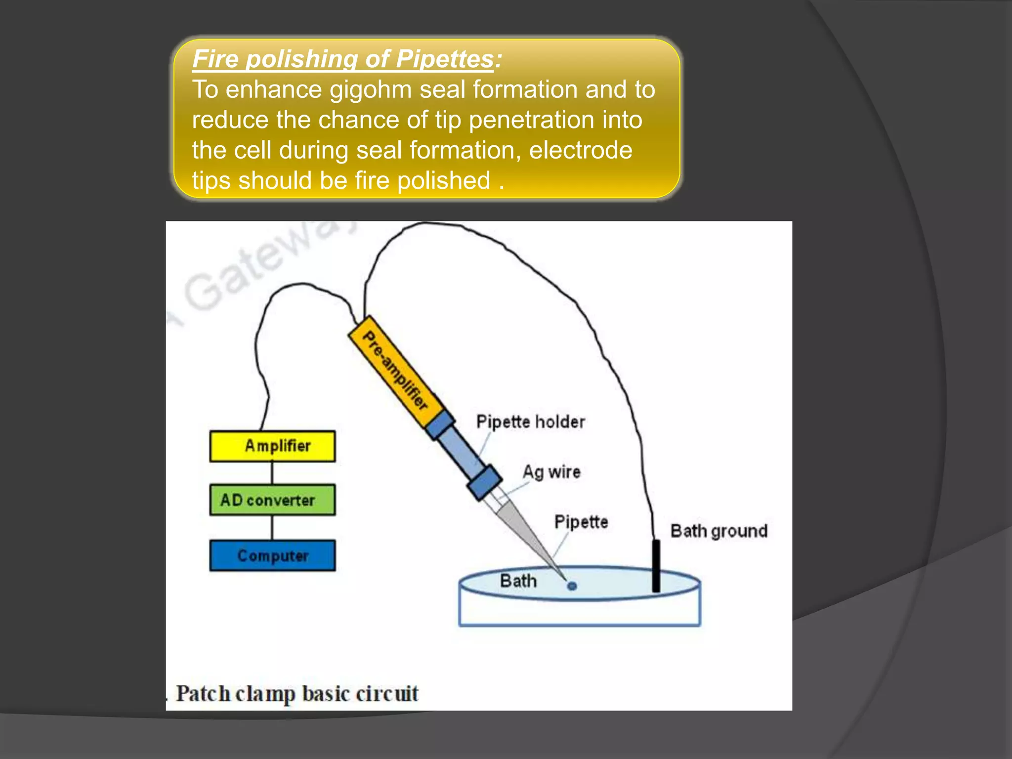 Voltage and patch clamping | PPTX
