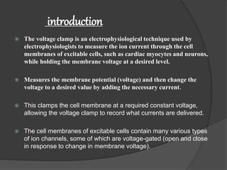 Voltage and patch clamping | PPTX