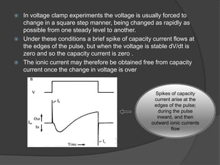Voltage and patch clamping | PPTX