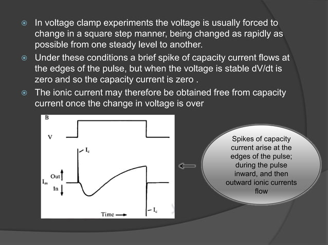 Voltage and patch clamping | PPT