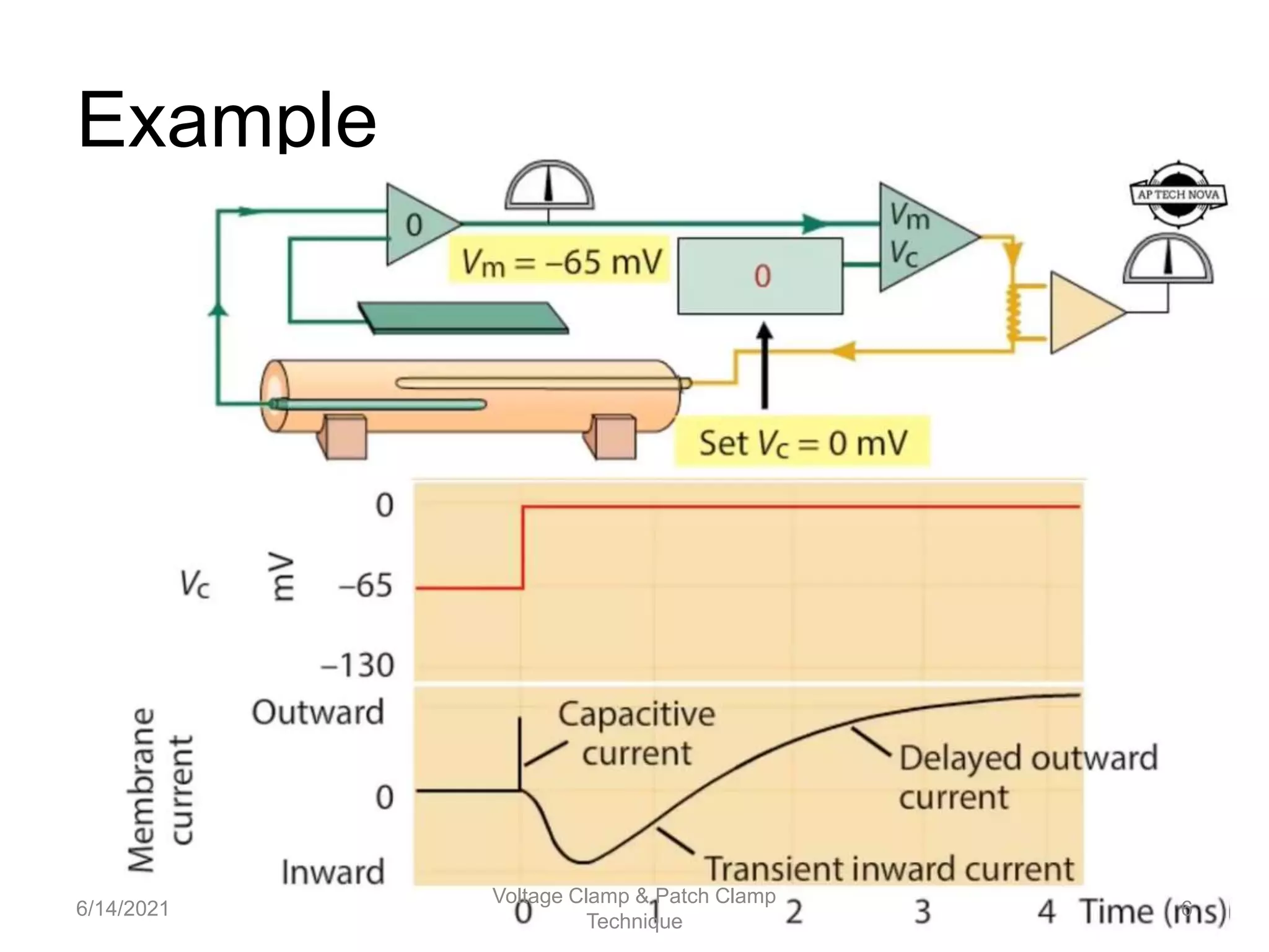 Voltage Clamp Technique | PPTX