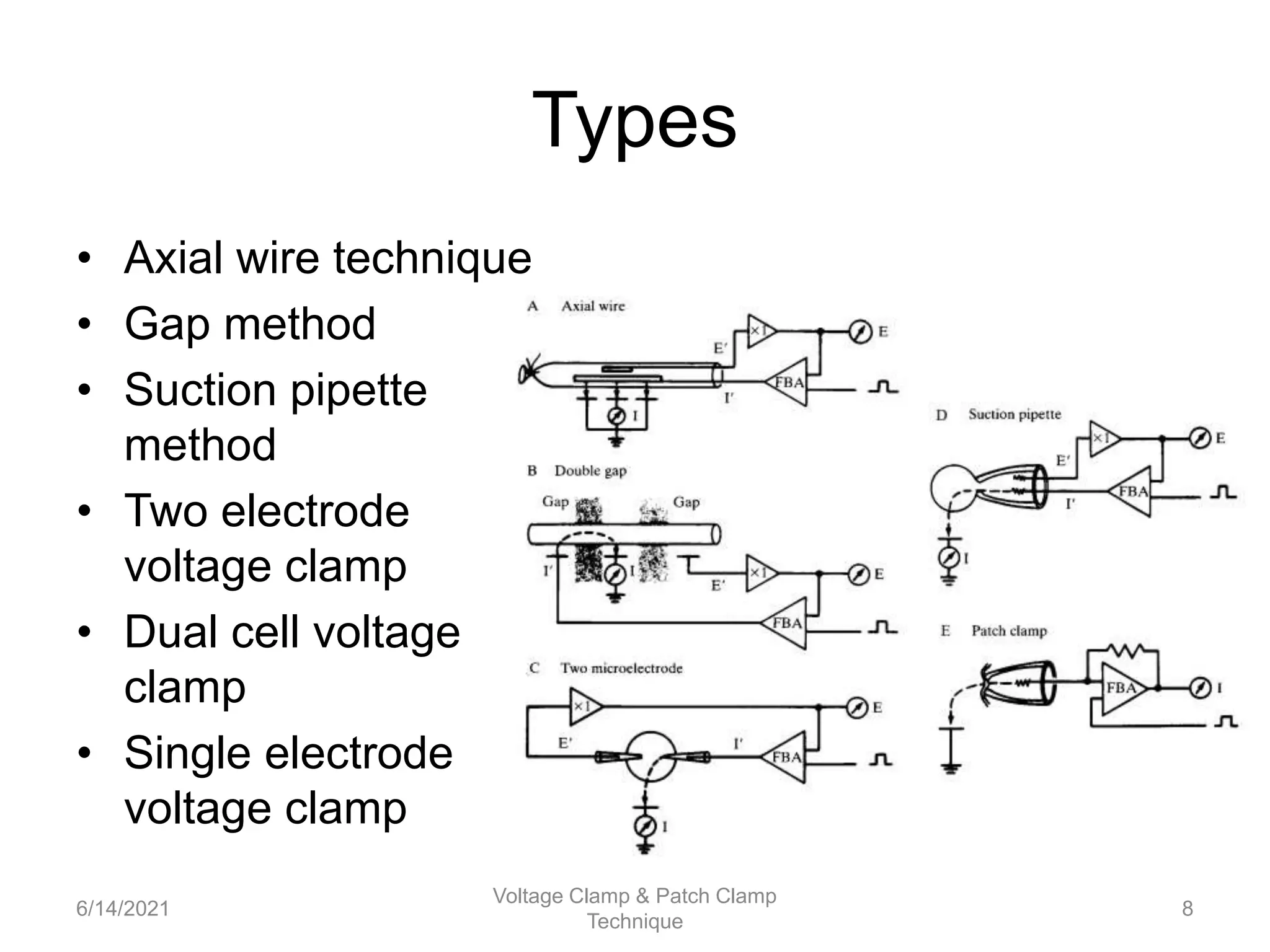 Voltage Clamp Technique | PPTX