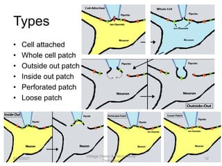 Voltage Clamp Technique | PPTX