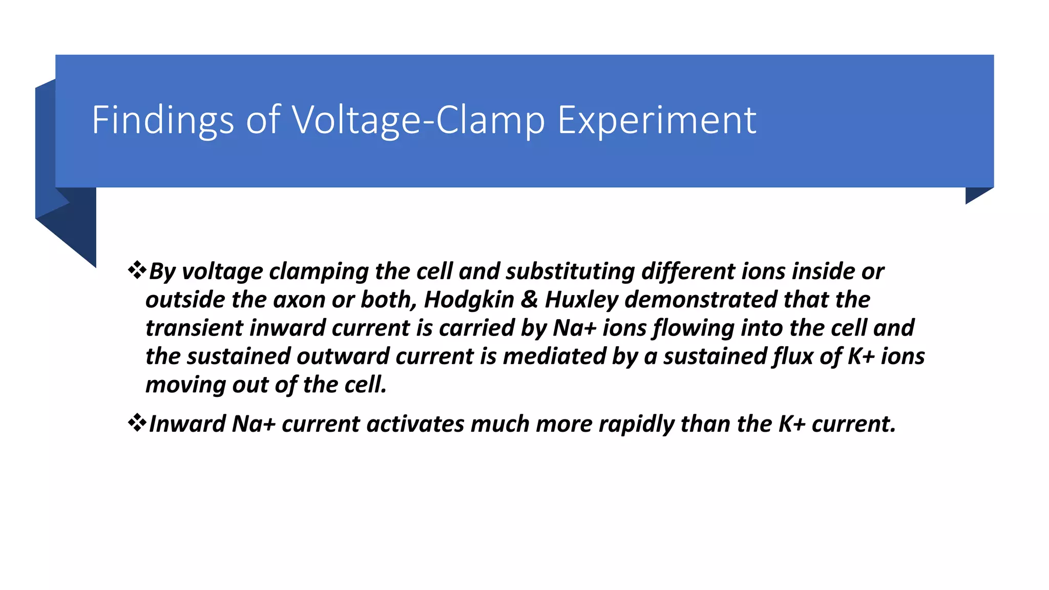 Voltage clamp experiment | PDF