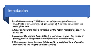 Voltage clamp experiment | PDF