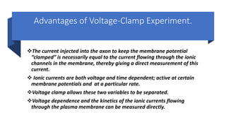 Voltage clamp experiment | PDF