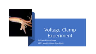 Voltage clamp experiment | PPT