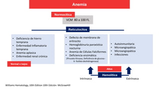 Volumen Corpuscular Medio. | PDF