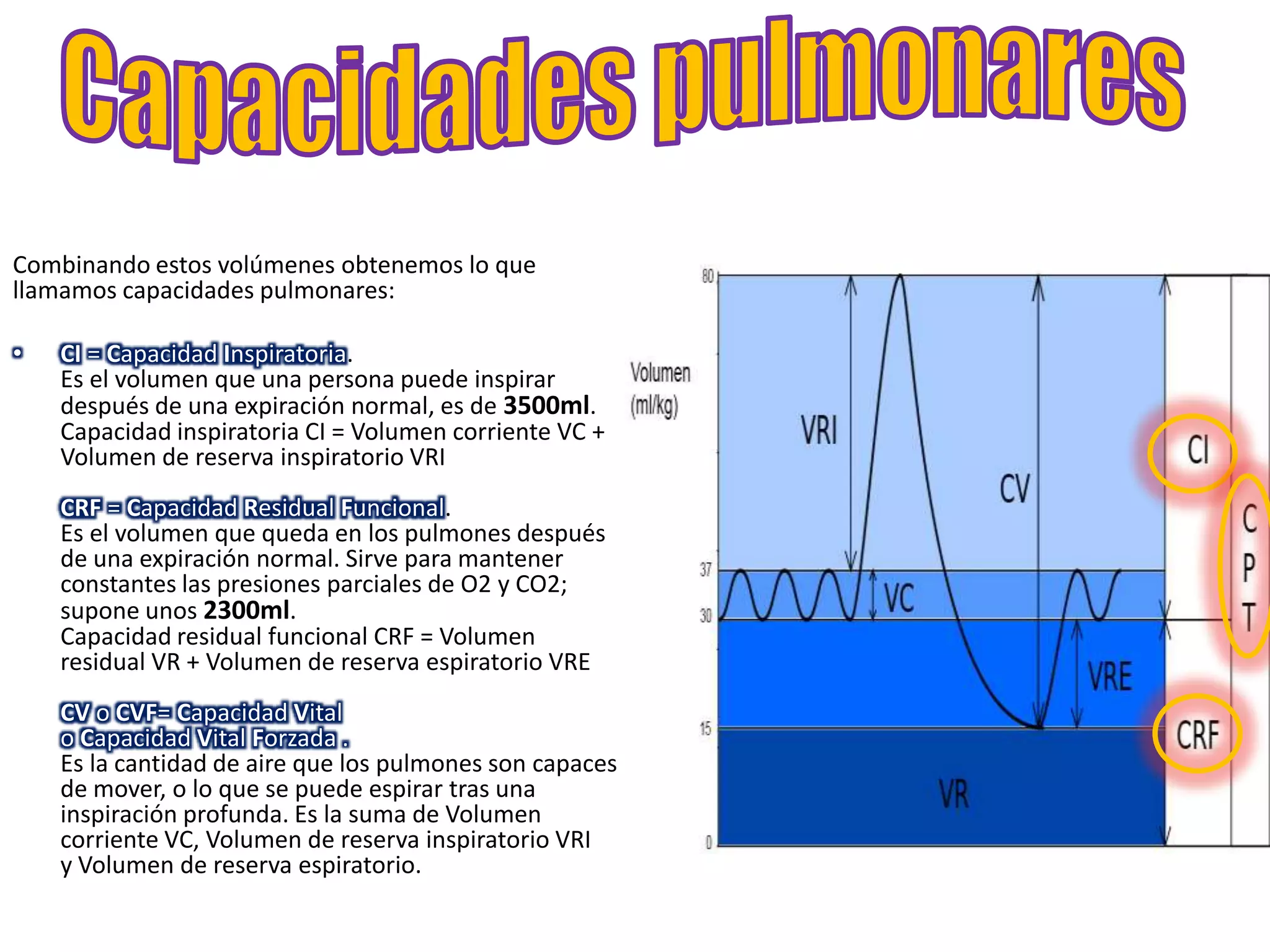 Volumenes y capacidades pulmonares