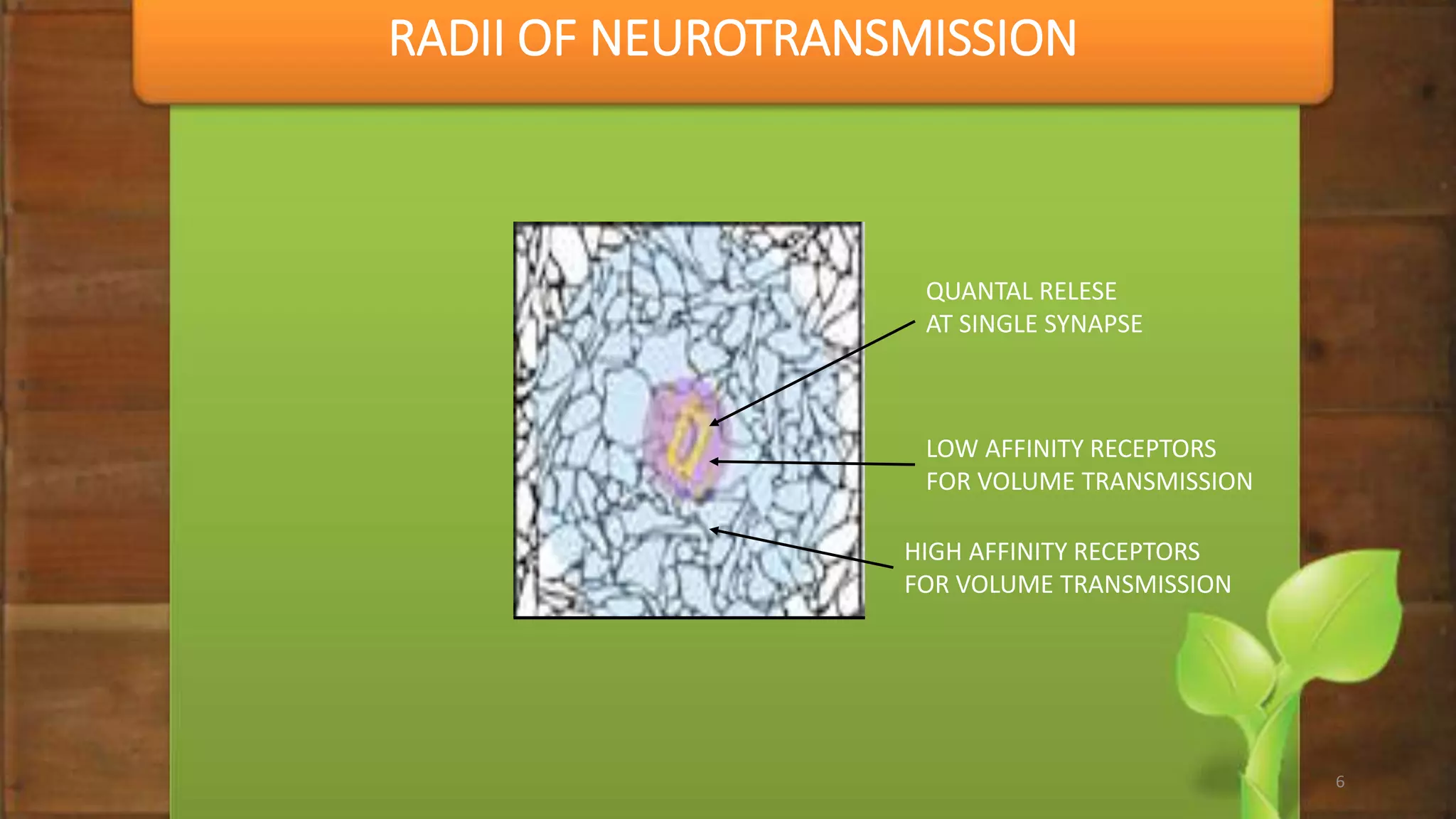 Volume neurotransmission | PPTX